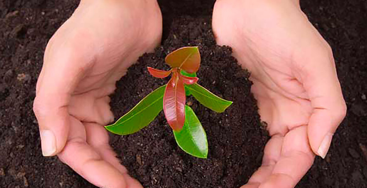 Our Approach to Counseling | Integrity Counseling Services